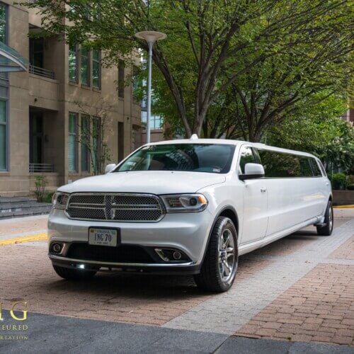 Citadel SUV Luxury SUV Transportation Vehicle - ING Limousine