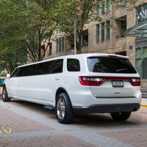 Citadel SUV Luxury SUV Transportation Vehicle - ING Limousine